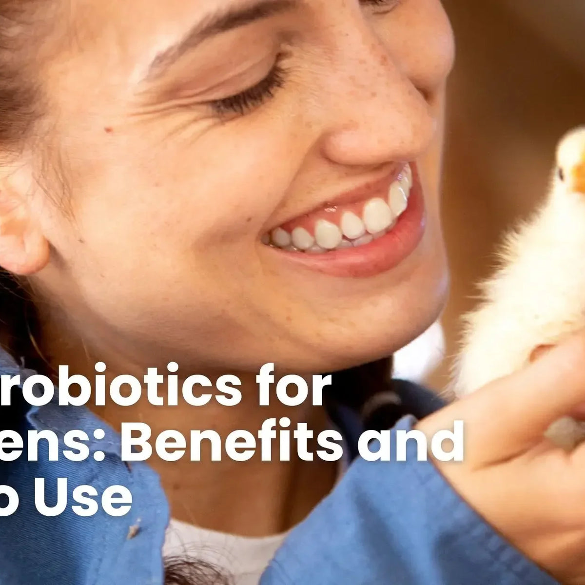 Best Probiotics for Chickens: Benefits and How to Use