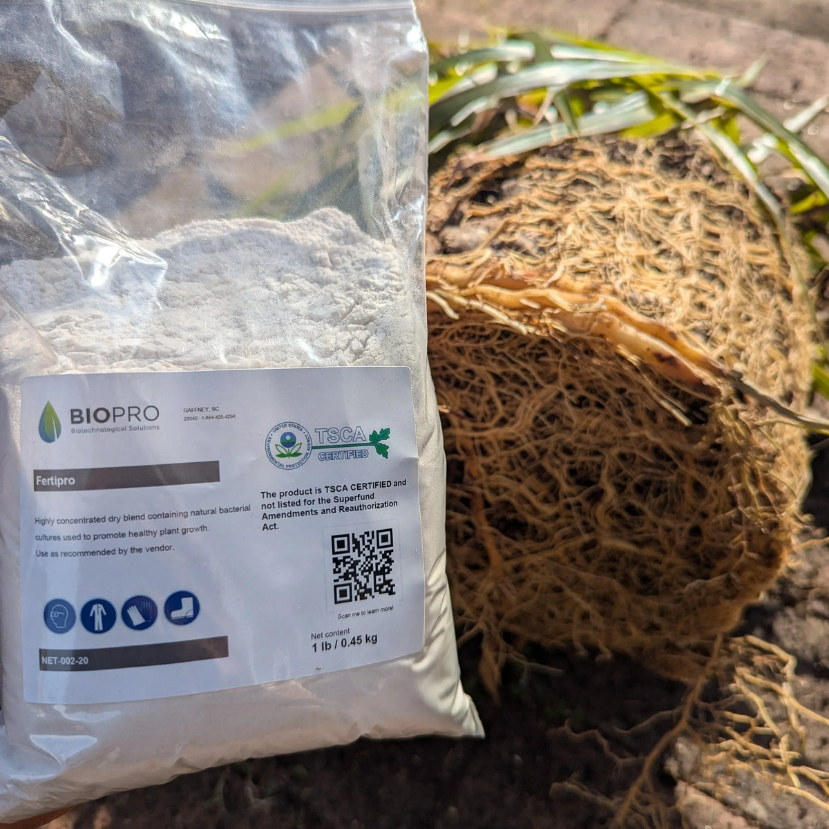 The Science Behind Fertipro: Beneficial Bacteria for Sustainable Farmi ...