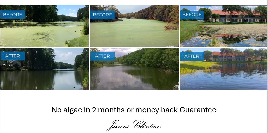 Buy Animal Feed Supplement & Biofertilizer | Biopro Solution